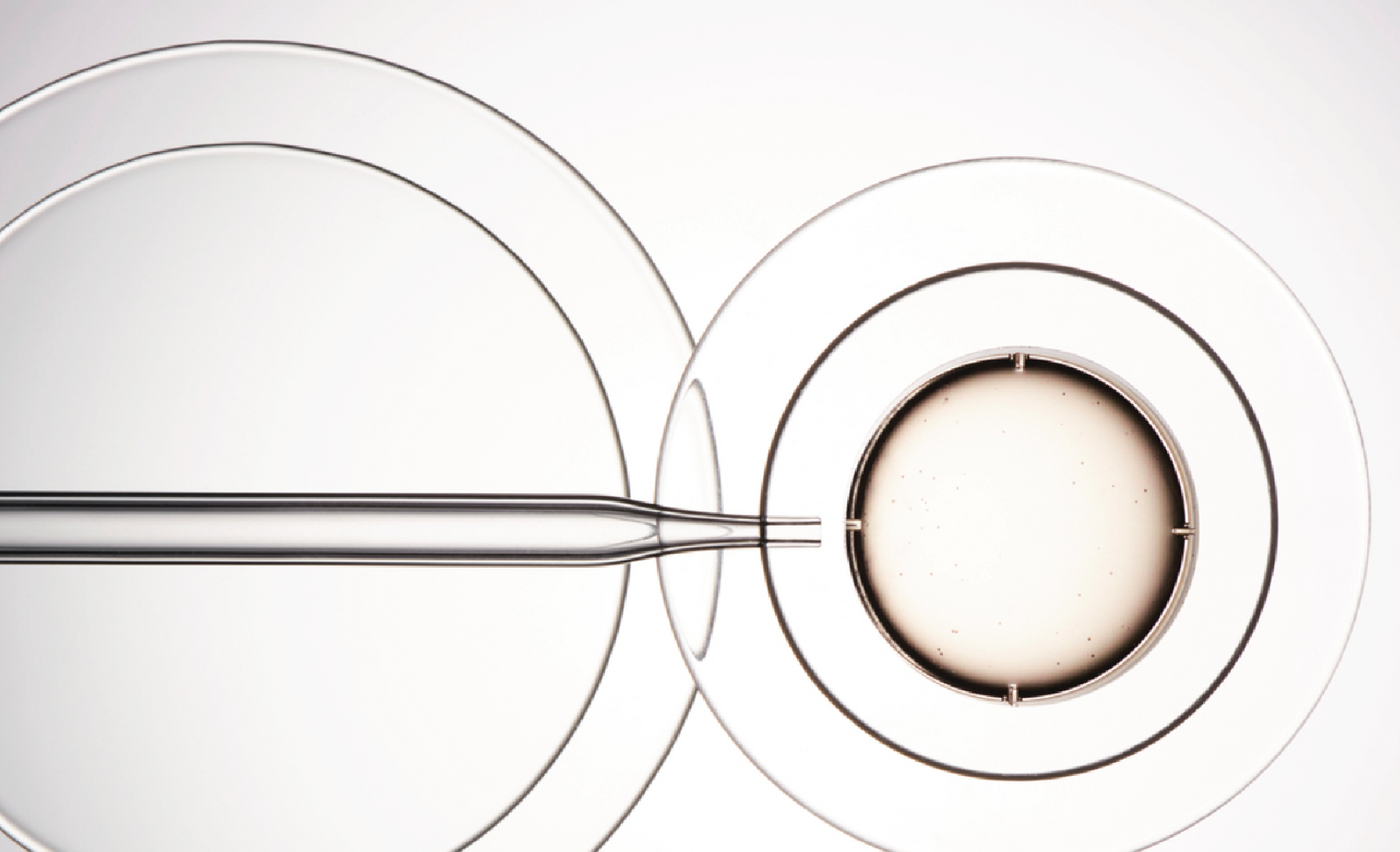 MORPHIYA - Groundbreaking Skincare Science