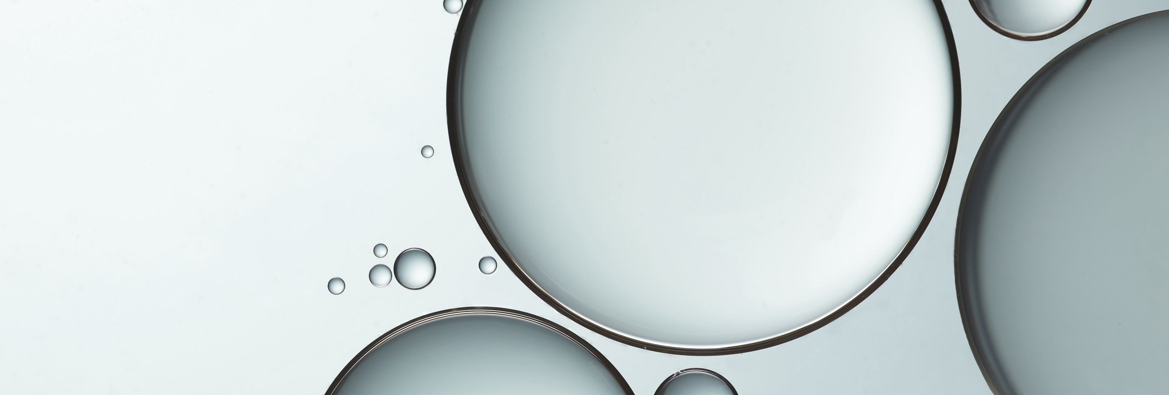 Exomorphic Biotech – MORPHIYA